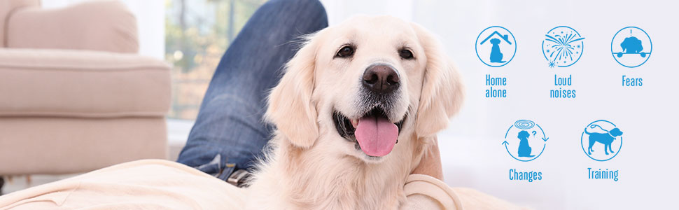 ADAPTIL Calm | Dog Calming Plug-In Diffuser