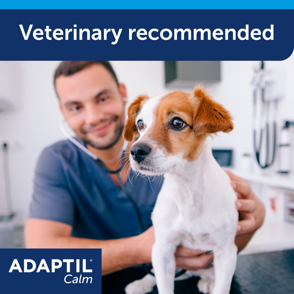 ADAPTIL Calm Collar | Dog Calming Collar | Shop Online