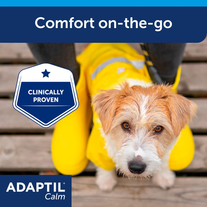 ADAPTIL Calm Collar | Dog Calming Collar | Shop Online