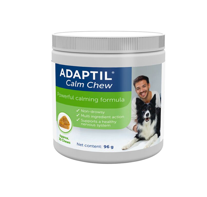 ADAPTIL and ThunderShirt - Experts in Dog Well-being