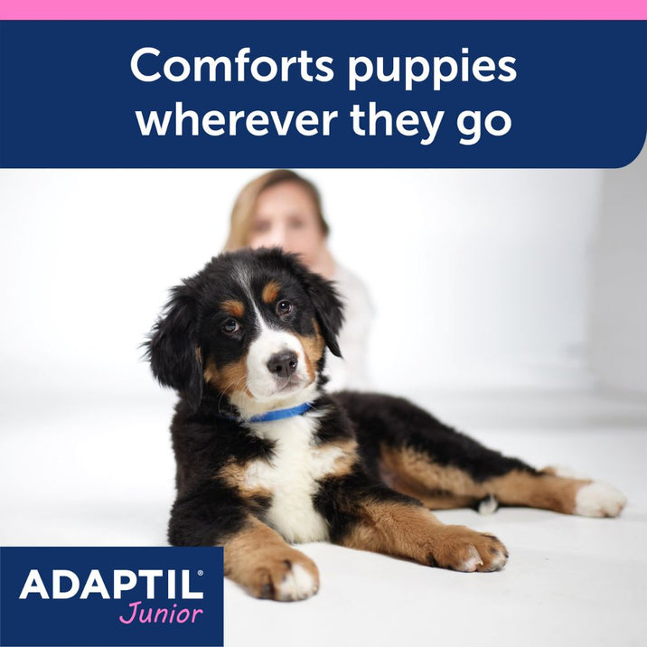 ADAPTIL Junior | Calming Dog Collar For Puppies | Buy Online