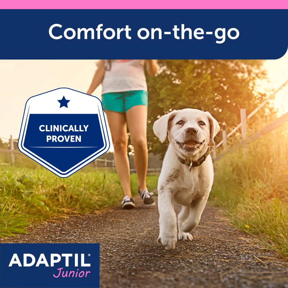 ADAPTIL Junior | Calming Dog Collar For Puppies | Buy Online