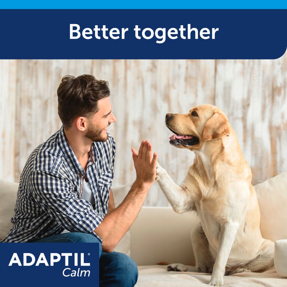 ADAPTIL Calm Diffuser Starter Kit | Dog Calming Plug-In Diffuser