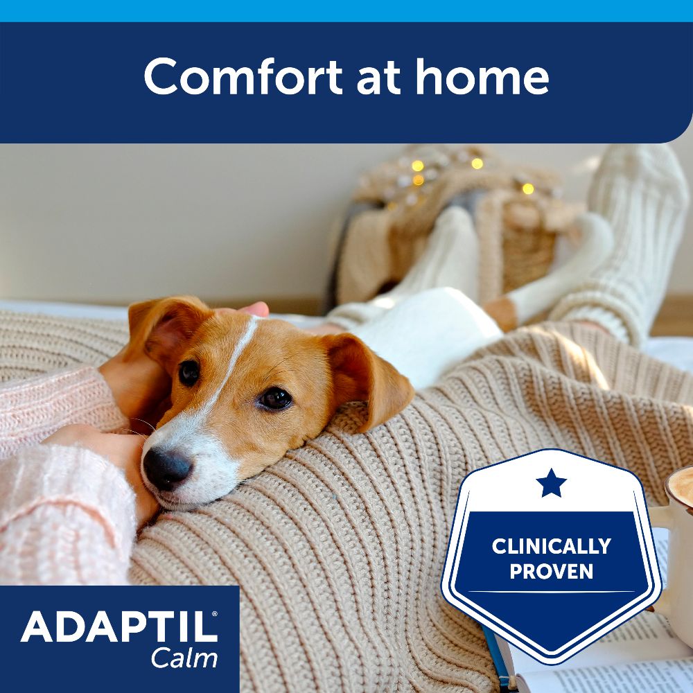 ADAPTIL Calm Diffuser Starter Kit | Dog Calming Plug-In Diffuser