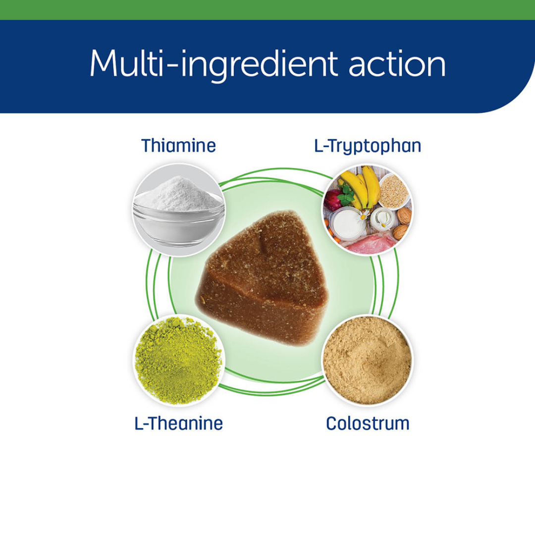 ADAPTIL Chew | Dog Calming Treats | Shop Online