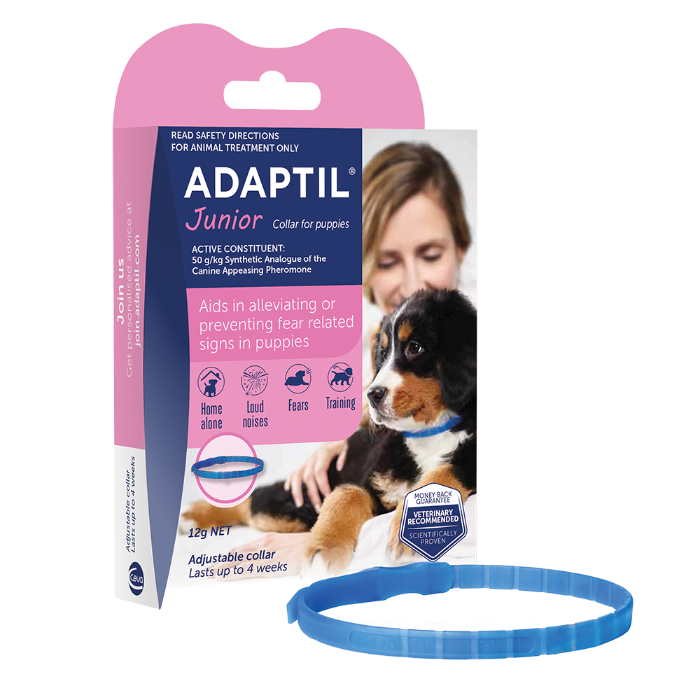 ADAPTIL and ThunderShirt - Experts in Dog Well-being