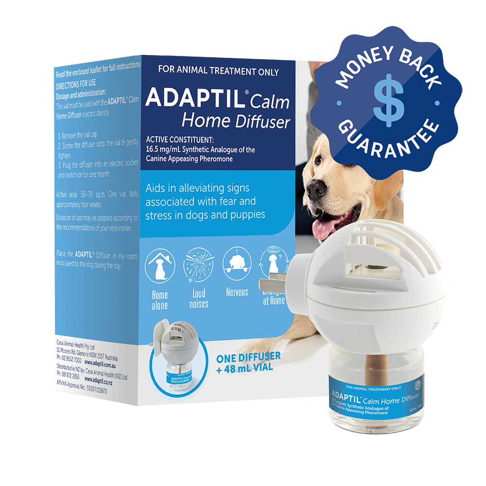 ADAPTIL and ThunderShirt - Experts in Dog Well-being