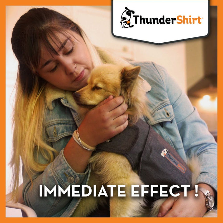ThunderShirt For Dogs | Anxiety Calming Jacket | Buy Online